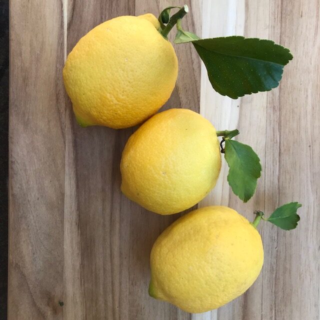 California Lemons with Stem and Leaves - for Weddings, Desserts, Decor ...